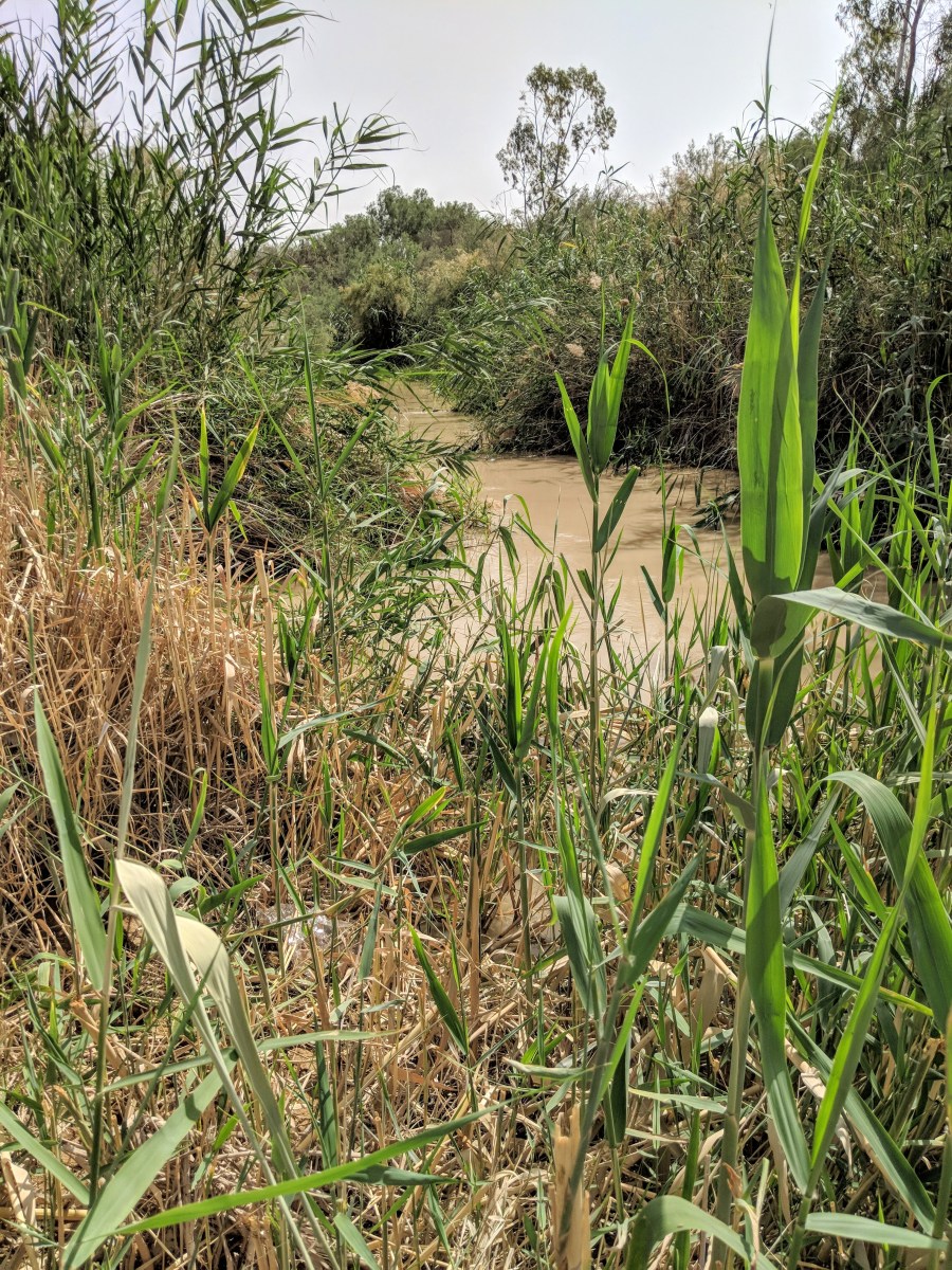 Joy Through Repentance: My Sermon on Mark 1:1-8 for the Second Sunday ...