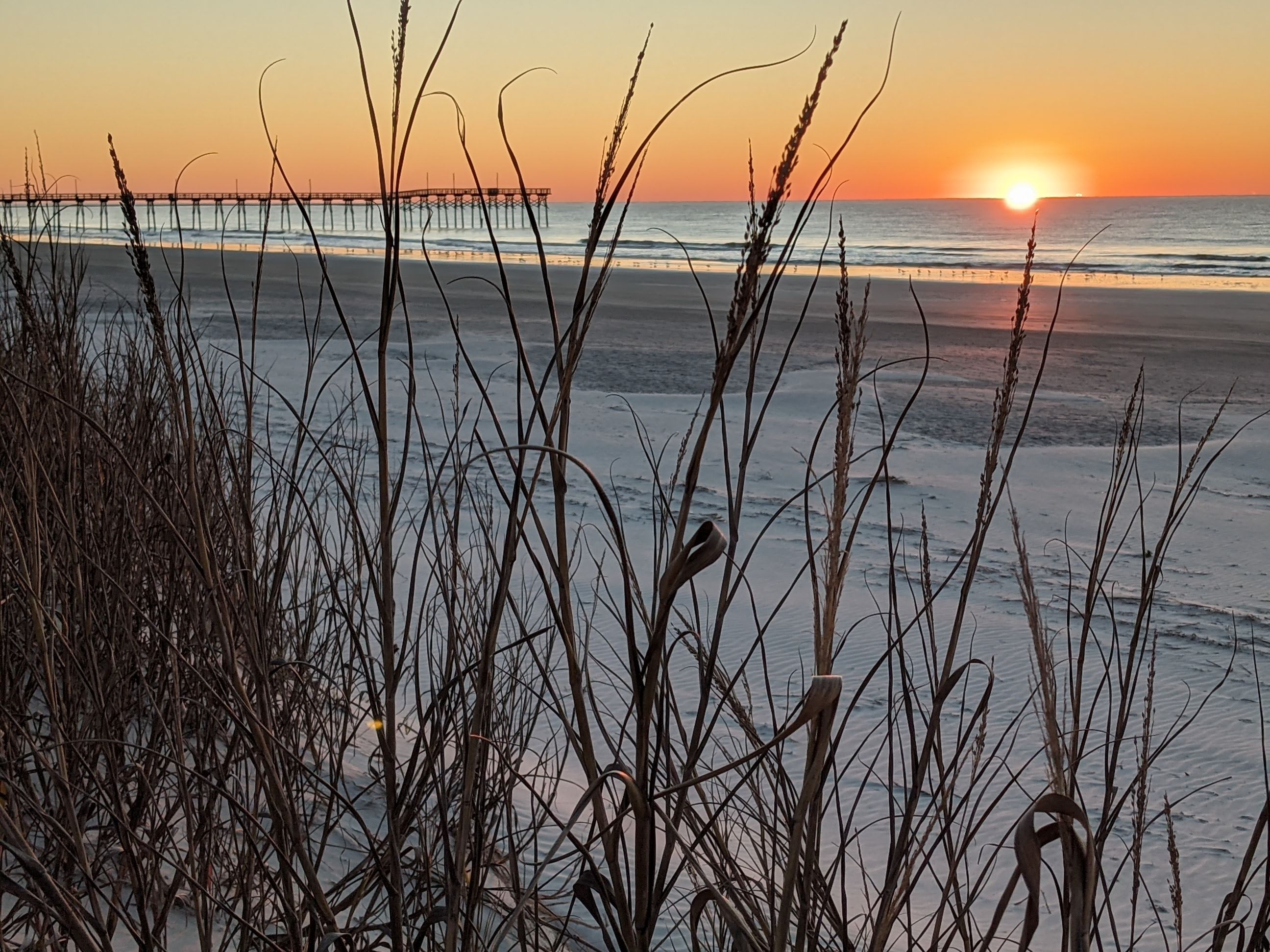 My Pastoral Ponderings – Pondering my way through God's beloved world