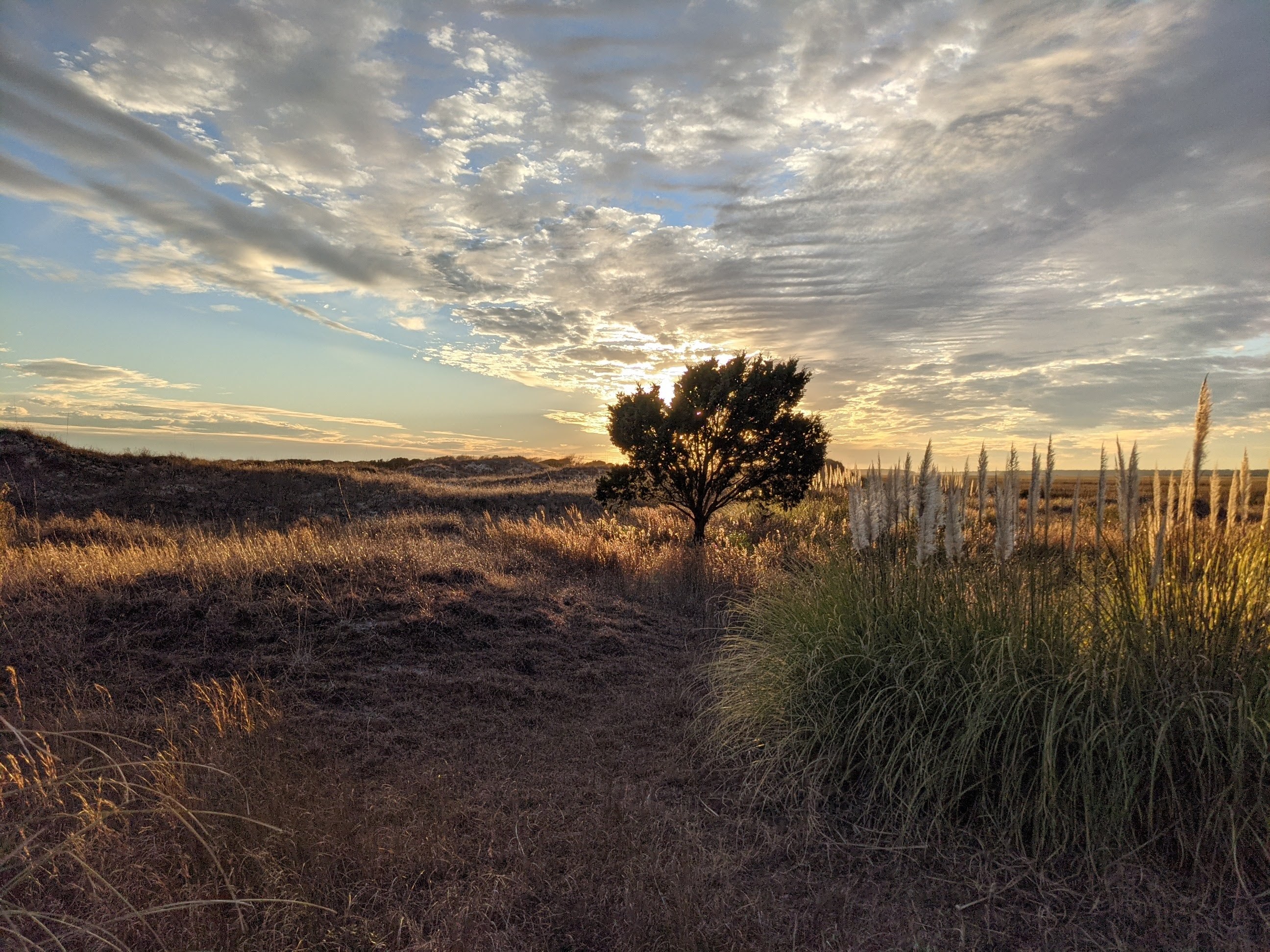 My Pastoral Ponderings – Pondering my way through God's beloved world