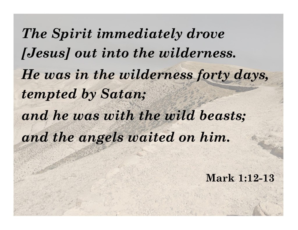 Lent – My Pastoral Ponderings