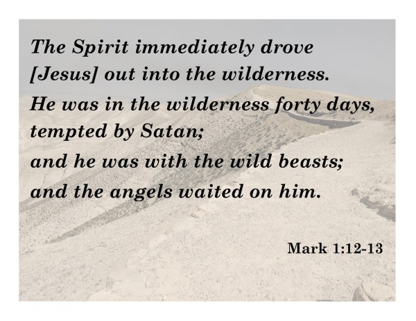 Facing Our Wilderness with Jesus: My Sermon on the First Sunday in Lent ...