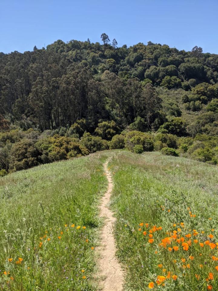 My Pastoral Ponderings – Pondering my way through God's beloved world