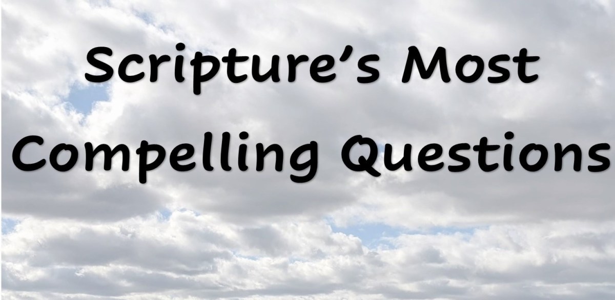 The First Two Questions in Scripture – My Pastoral Ponderings